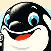 Services – Jolly Orca Studios